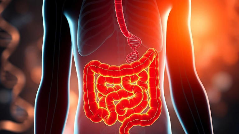 New colon cancer screening guidelines add blood and at-home tests