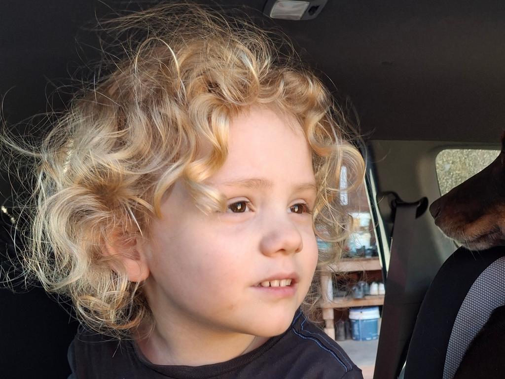 Cops confirm single suspect in Gus case