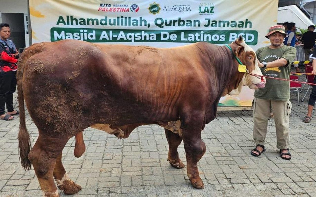 Masjid Al Aqsha BSD sembelih 198 hewan kurban, distribusi menjangkau ...