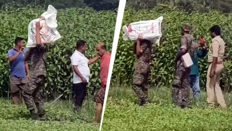 Rs 2.24 crore and counting: Cash found buried in field near TMC leader ...