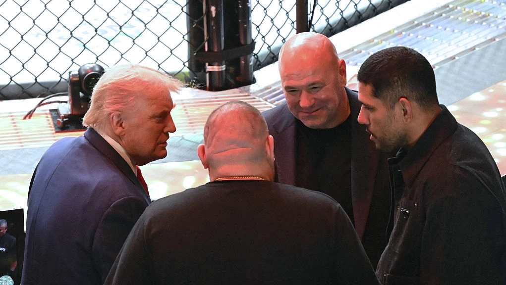 UFC cage construction begins on White House South Lawn