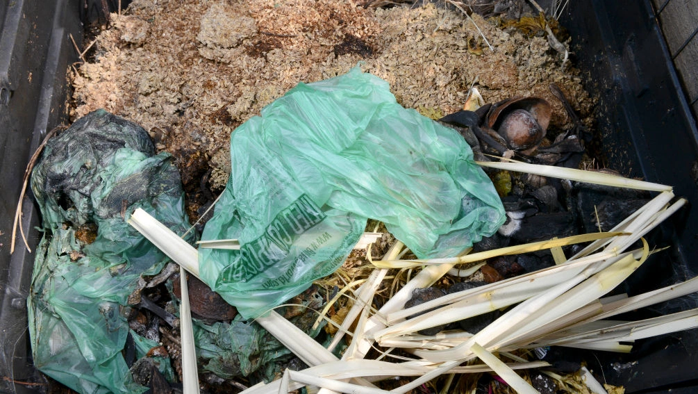 Surprising things you can compost at home