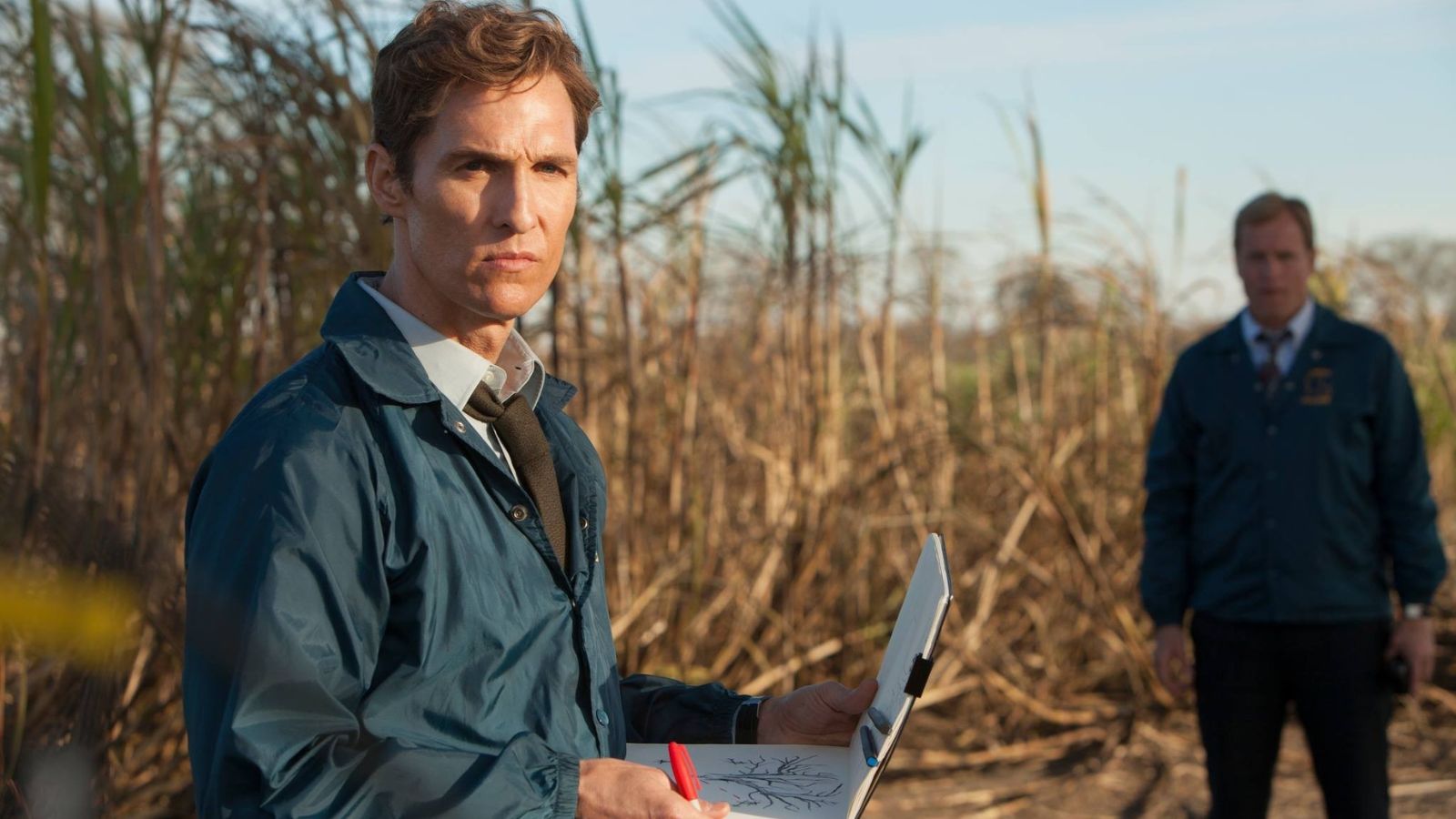 15 shows where only the first season was good