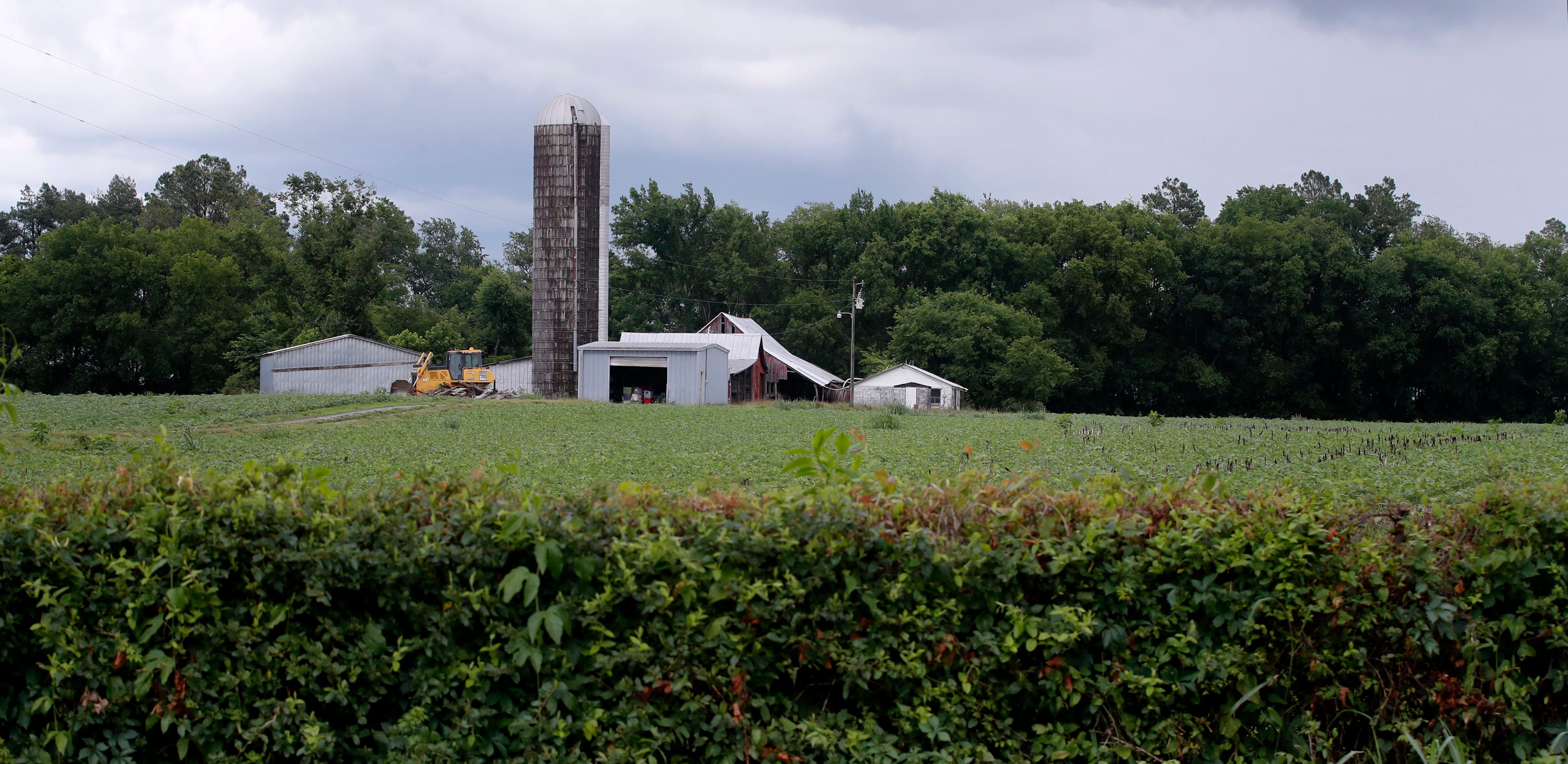 Rutherford school board, Murfreesboro seek same farmland for projects
