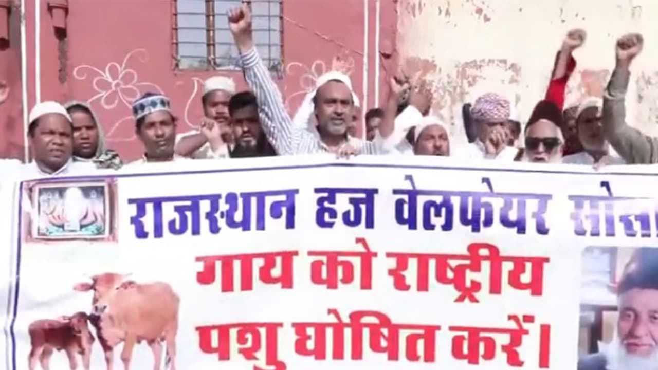 Rajasthan Hajj society wants cow as national animal for brotherhood