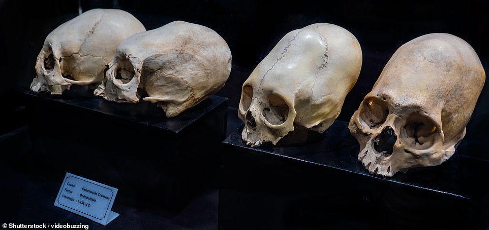 New DNA findings from 'conehead' mummies fuel alien origin theories