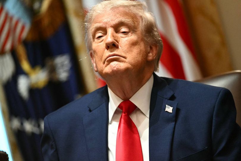 Breaking: Further humiliation for Donald Trump as Young MC pulls out of ...