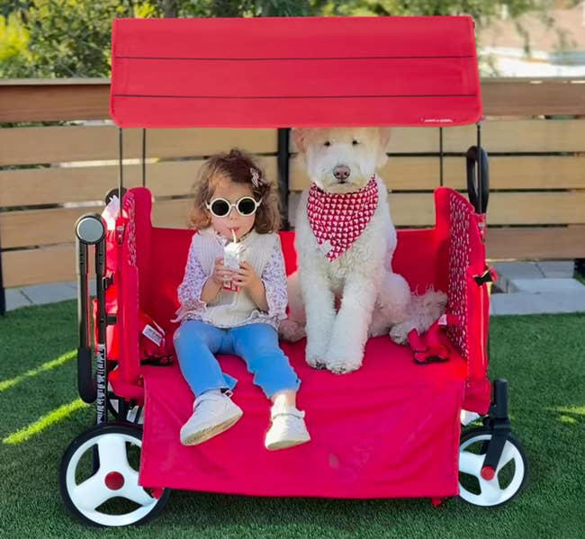 19 wagons, strollers, and baby carriers to haul your kid around in all ...