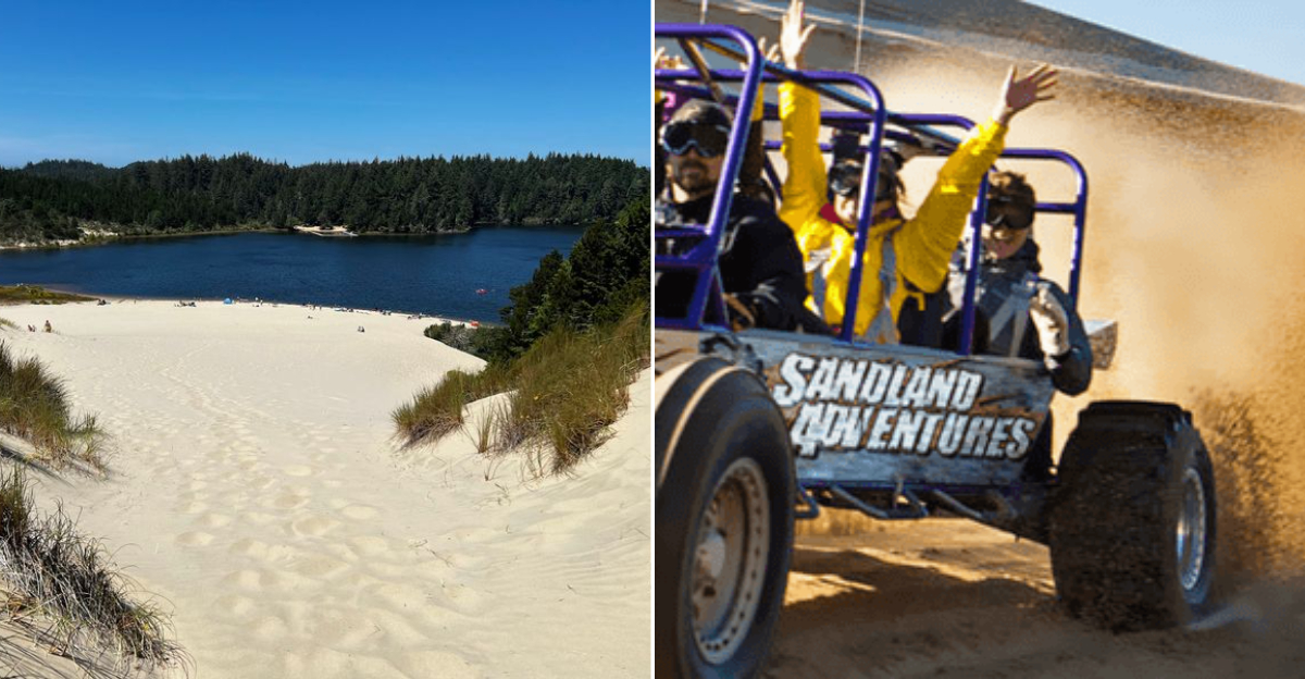 Oregon dunes go straight into the ocean here and you can rent a sand ...