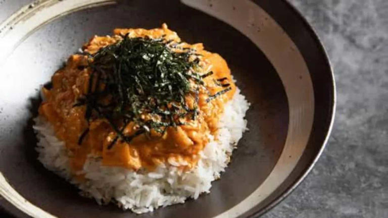 Rice cooker high-protein meal recipes for fitness enthusiasts