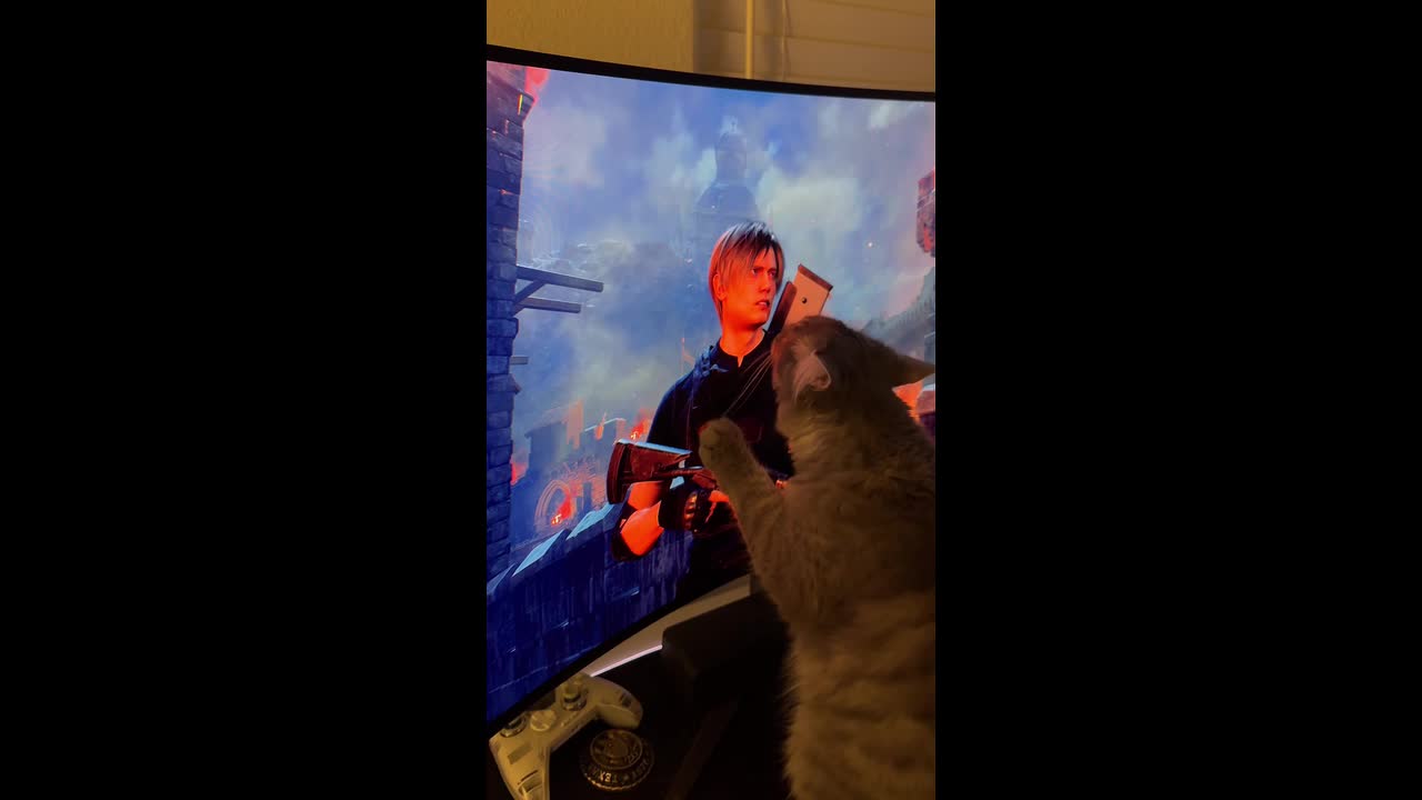 Cat repeatedly licks screen showing Leon Kennedy in College Station ...