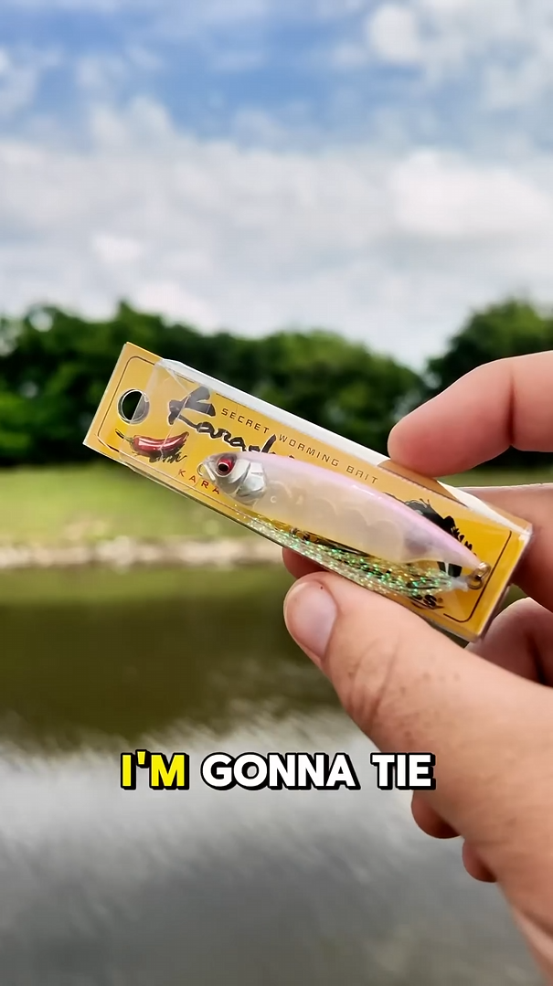 Have you tried BFS bass fishing