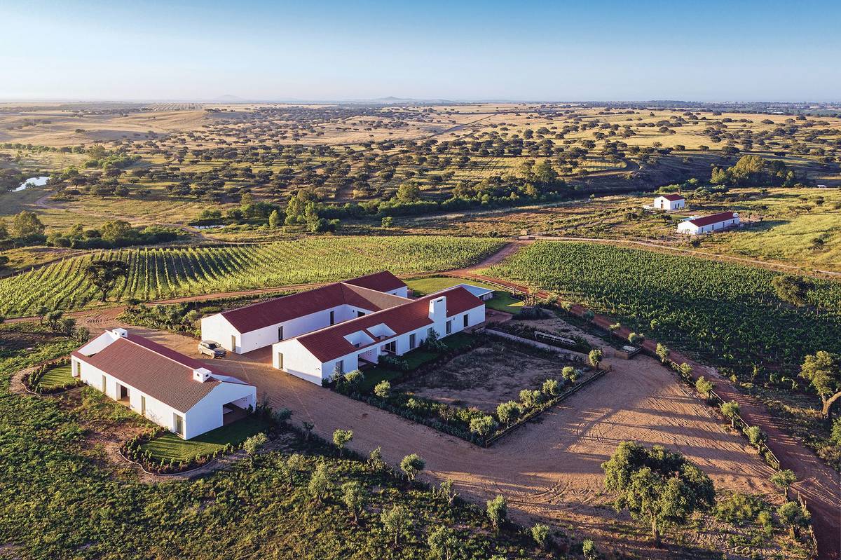 Beja recebe cimeira mundial do enoturismo com operadores de 17 países