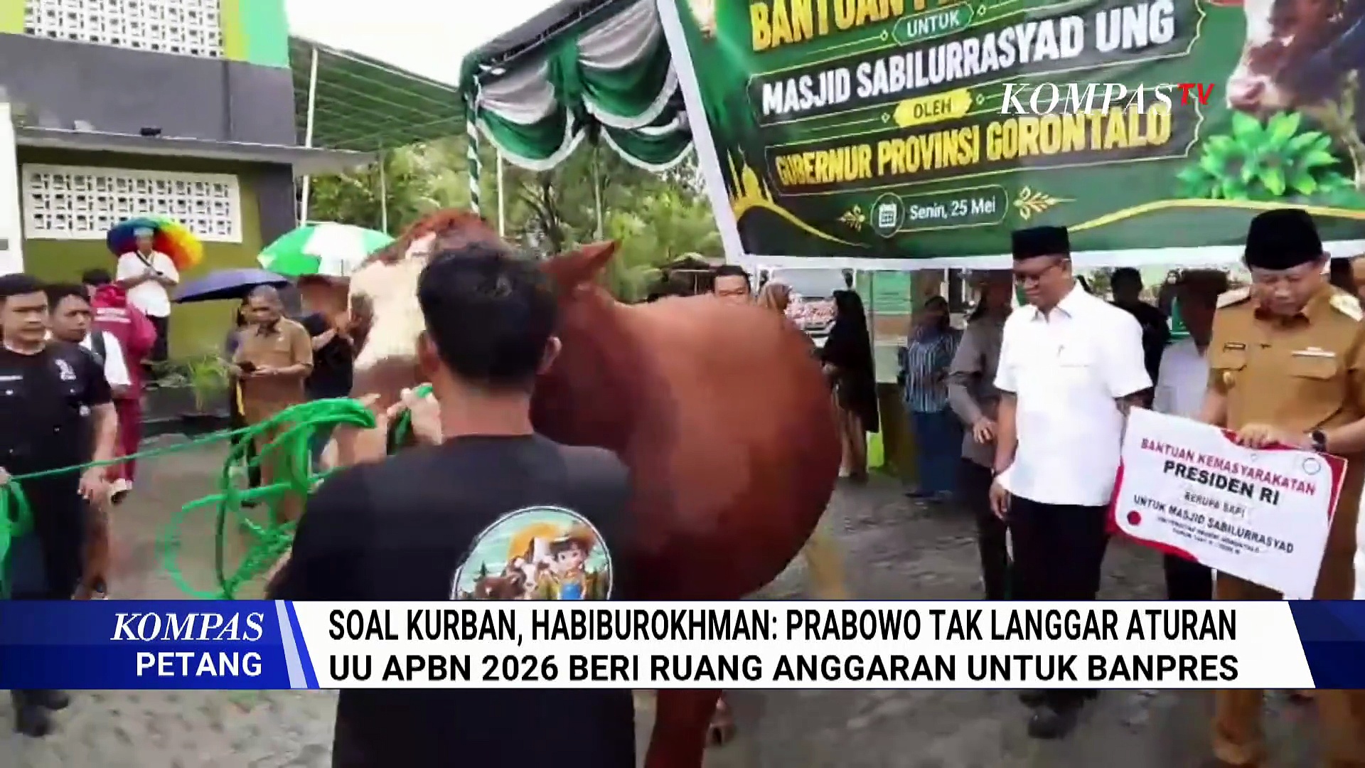 Habiburokhman sebut dana APBN untuk sapi kurban Prabowo tak langgar ...