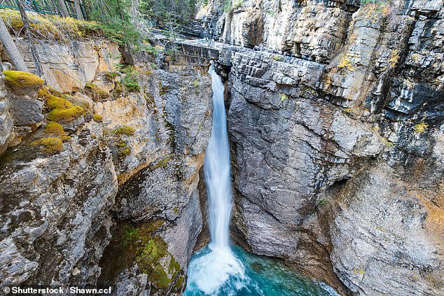 Arizona tourist, 25, dies jumping into fast Banff National Park river