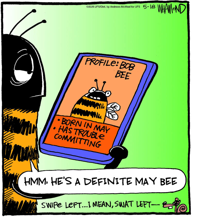 Reality check by Dave Whamond