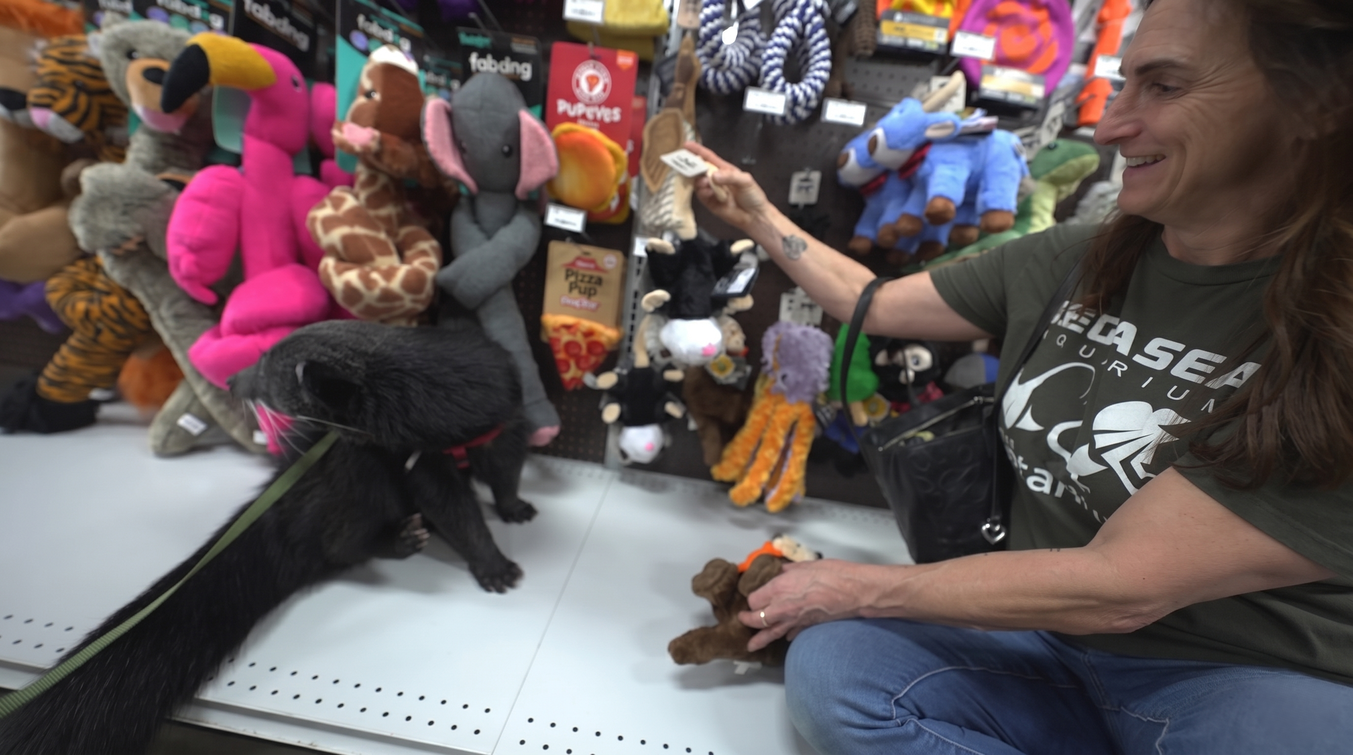 Customers came to buy pet food - then a binturong started climbing the ...