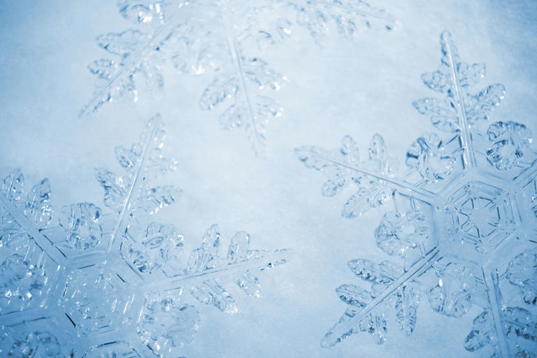 The symptoms of 'snowflake disease' — and why it 'becomes more severe ...