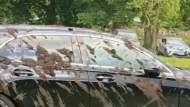 Farmer gets revenge on cars who parked on his beauty spot private field ...