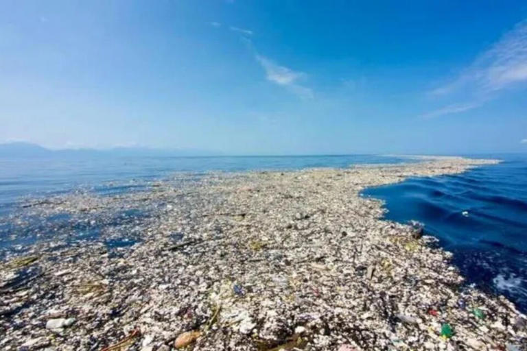 Scientists stunned: Our ocean trash is creating new ecosystems faster ...