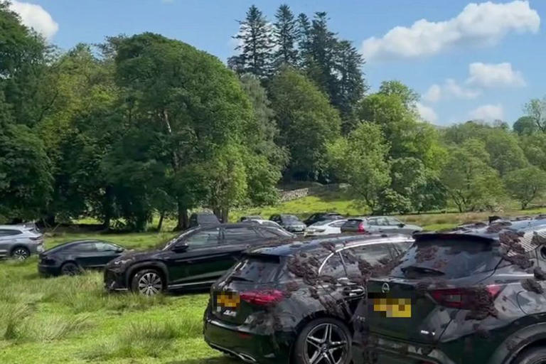 Lake District farmer sprays slurry on day-trippers' cars parked ...