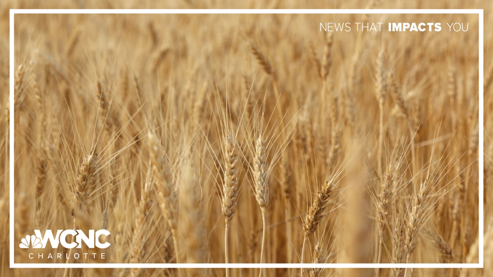 NC farm report shows some signs of relief