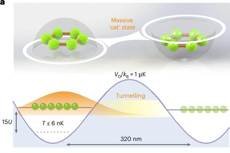 The generation of massive Schrödinger cat states using ultracold atoms