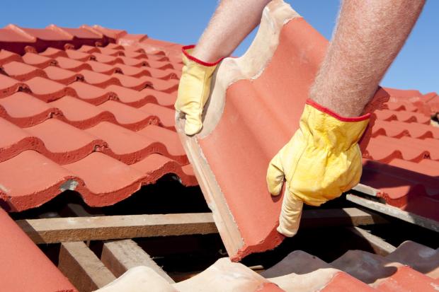 Heatwave causes £219million damage to homes: How to protect your house