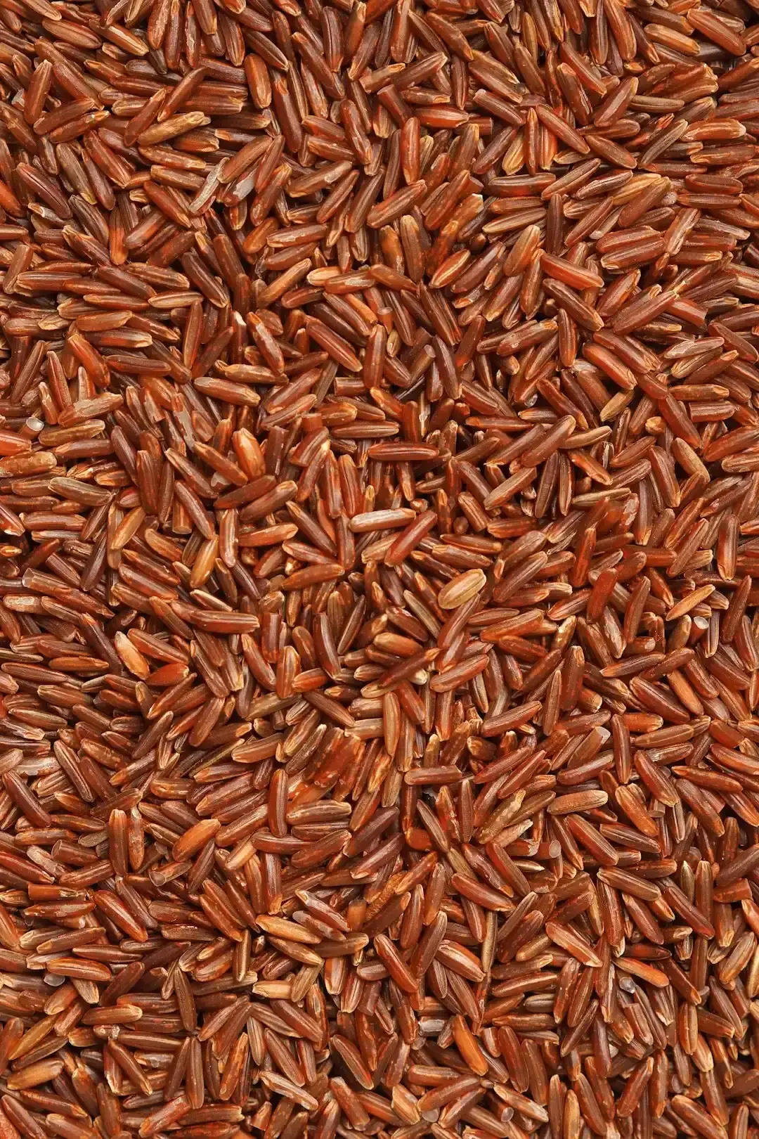 7 expired pantry foods you should throw away immediately