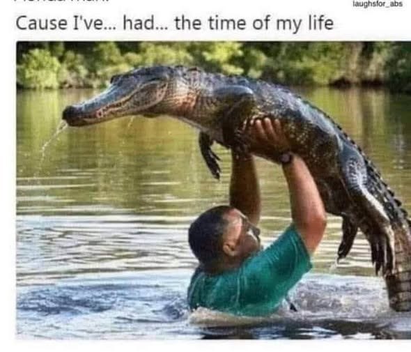 22 alligator memes to sink your teeth into this week