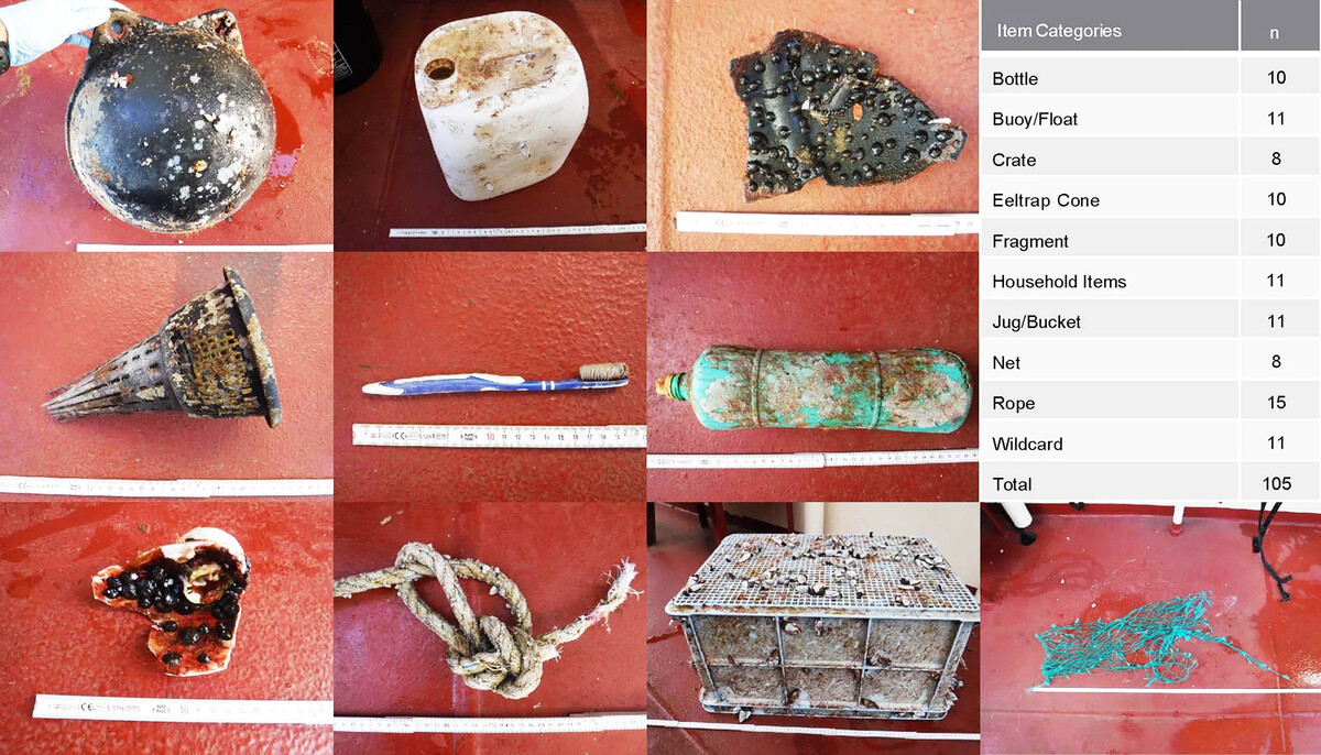 Scientists stunned: Our ocean trash is creating new ecosystems faster ...