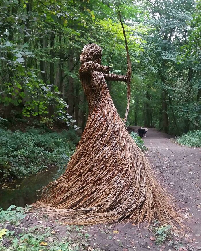 49 times people found something wild while strolling through the forest
