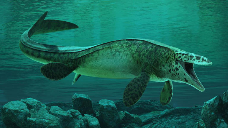 Massive marine predator crowned T rex of the ocean and 'a true terror ...