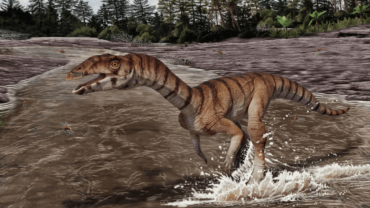 Meet the 'Croc Witch,' a 212-million-year-old toothless Triassic weirdo ...