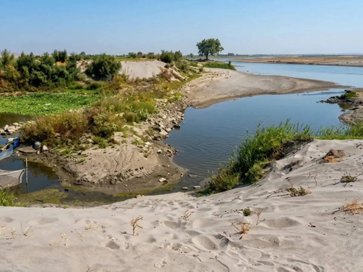From river to muddy trail: Yamuna in Delhi is now just a shallow brown ...