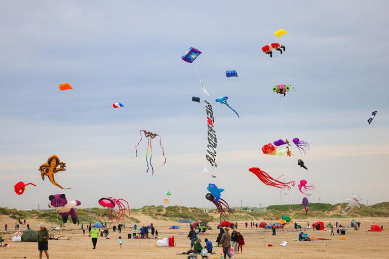 Family fun with strings attached in shape of Redcar Kite Festival
