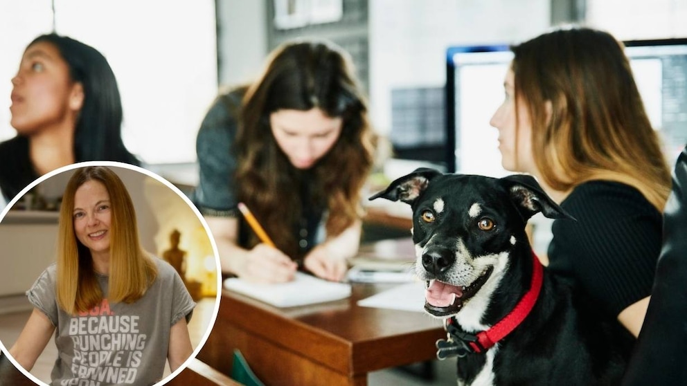 Lehrerin über Schulhunde: „Ein Hund ist kein pädagogisches Wundermittel“