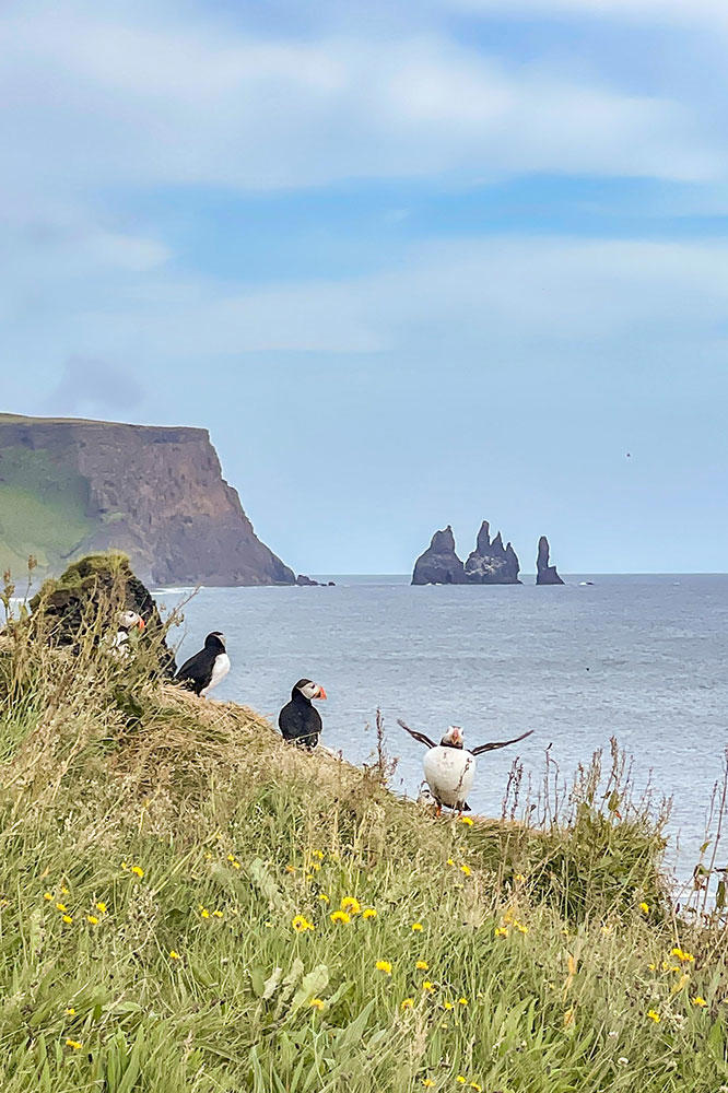 Your ultimate Iceland bucket list: 33 unforgettable experiences waiting ...