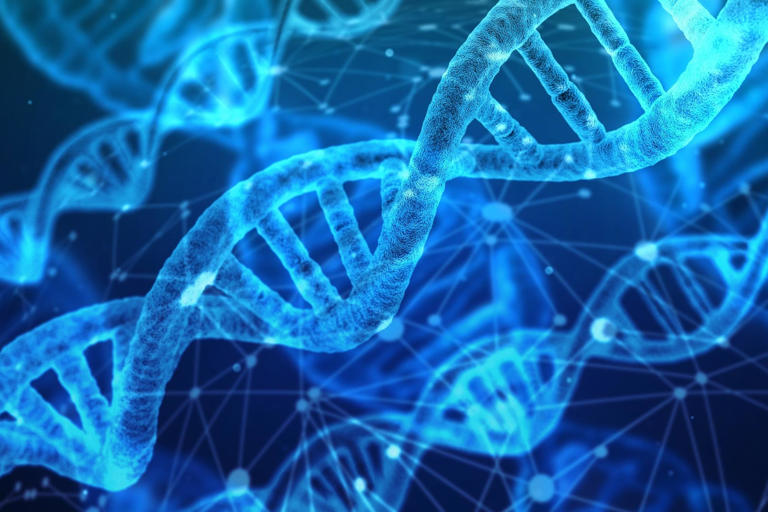Column: Who knows what I could win if they rewrite my DNA