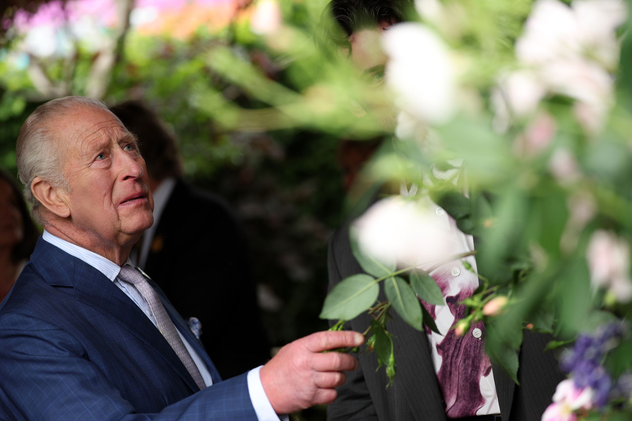 King’s garden inspired by Venus to open to visitors at Windsor Castle