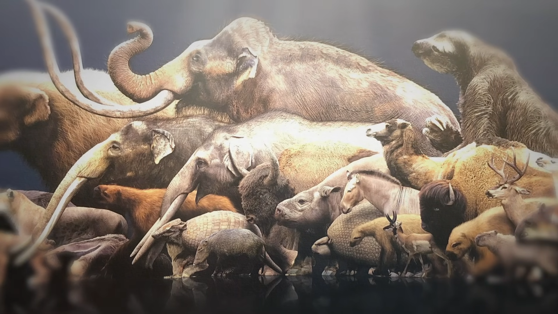 What the Ice Age did to animals and ecosystems
