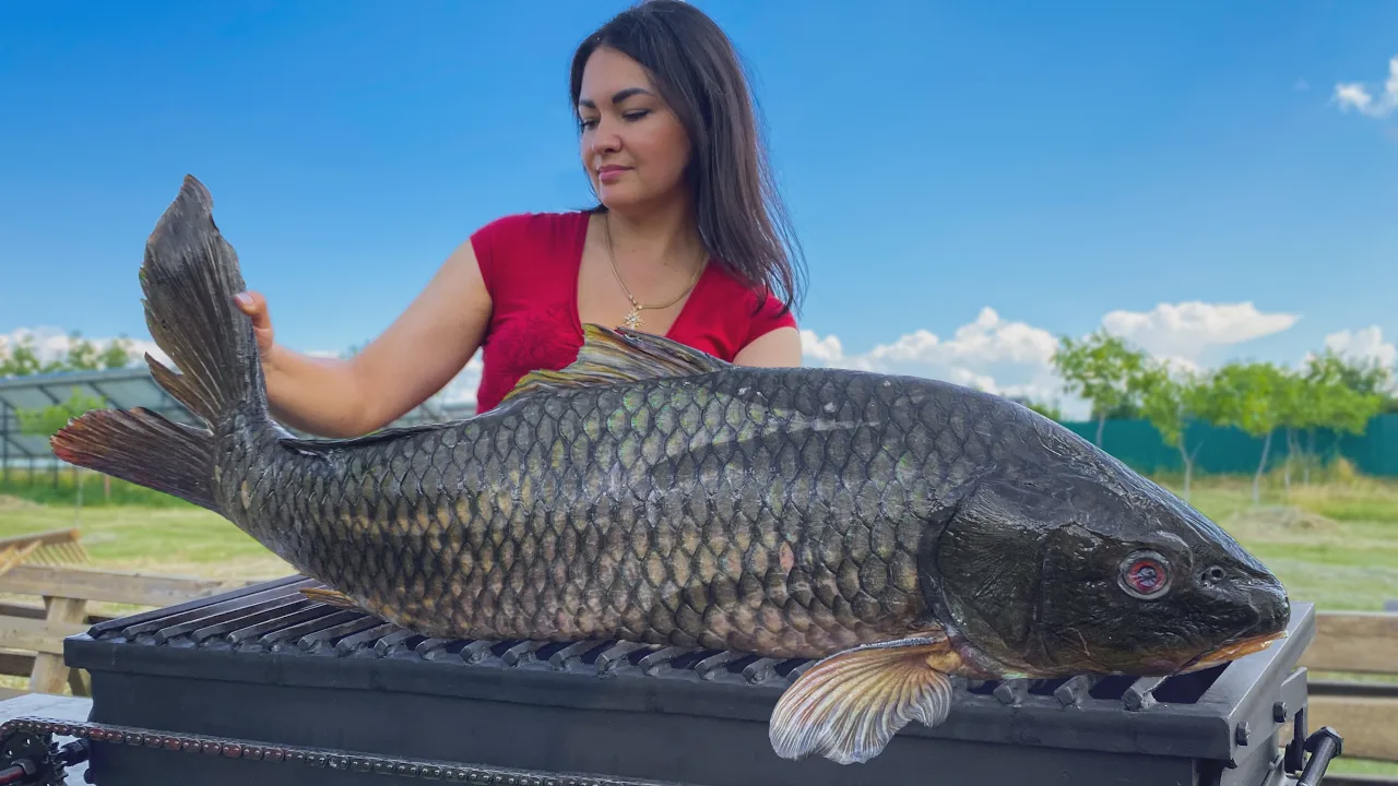3 geniale Rezepte mit einem riesigen 10-kg-Karpfen – so wird Fisch ...
