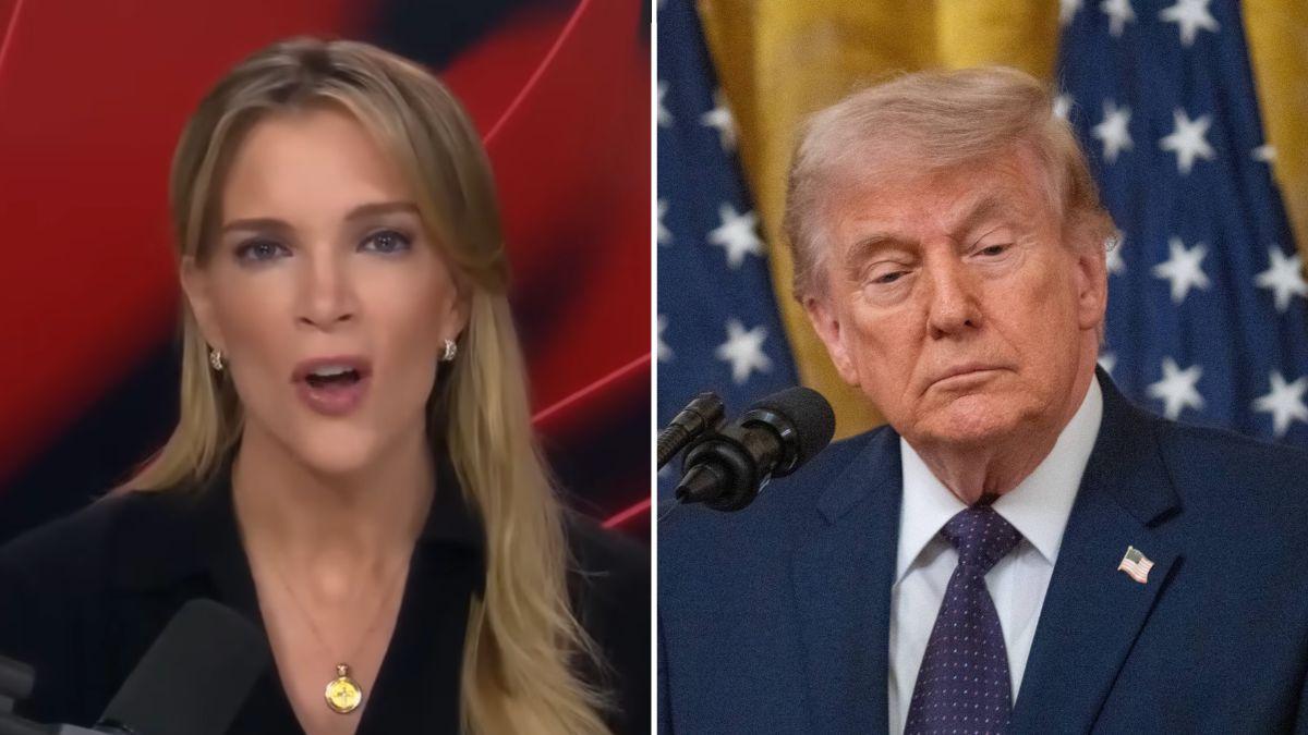 Megyn Kelly unloads on Donald Trump in personal attack amid shrinking ...