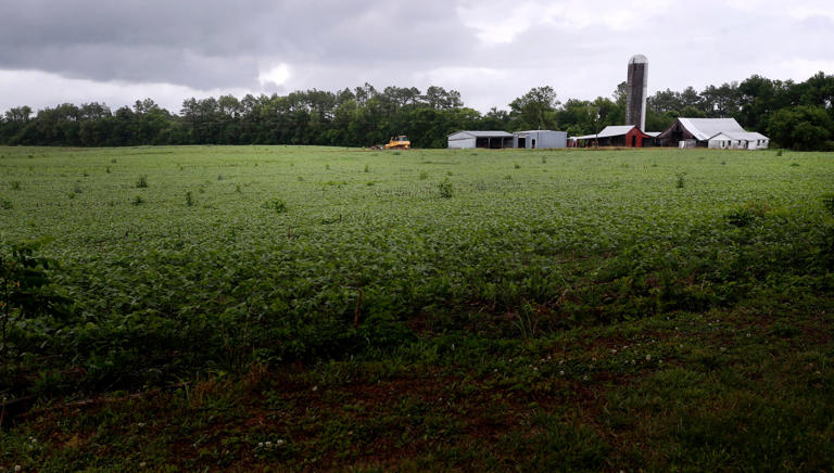 Rutherford school board, Murfreesboro seek same farmland for projects