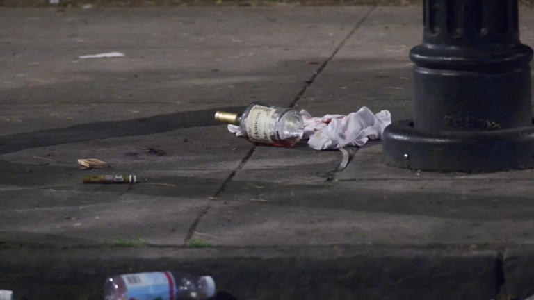 Woman fatally shot in eye near Bronx playground and school