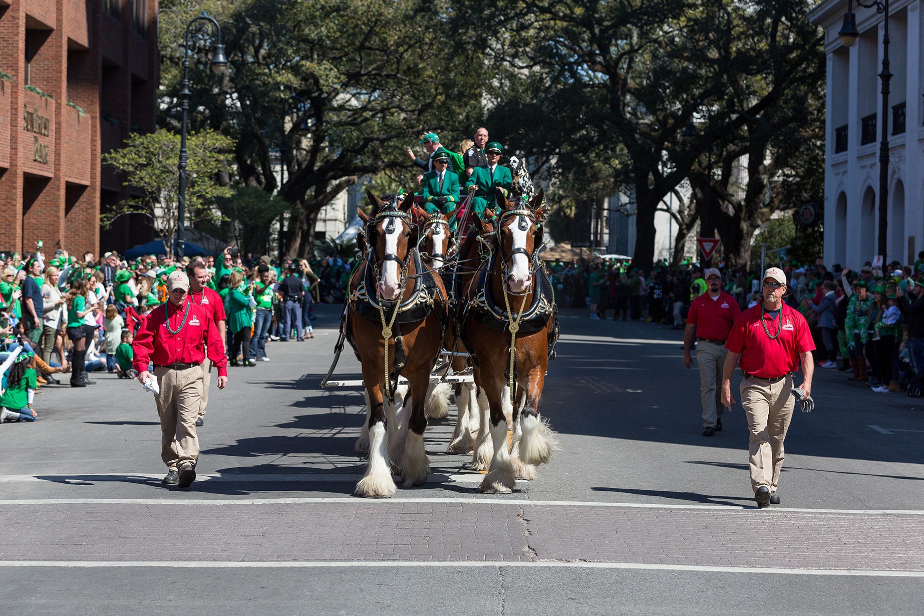 Budweiser Clydesdales coming to Savannah. Here’s when