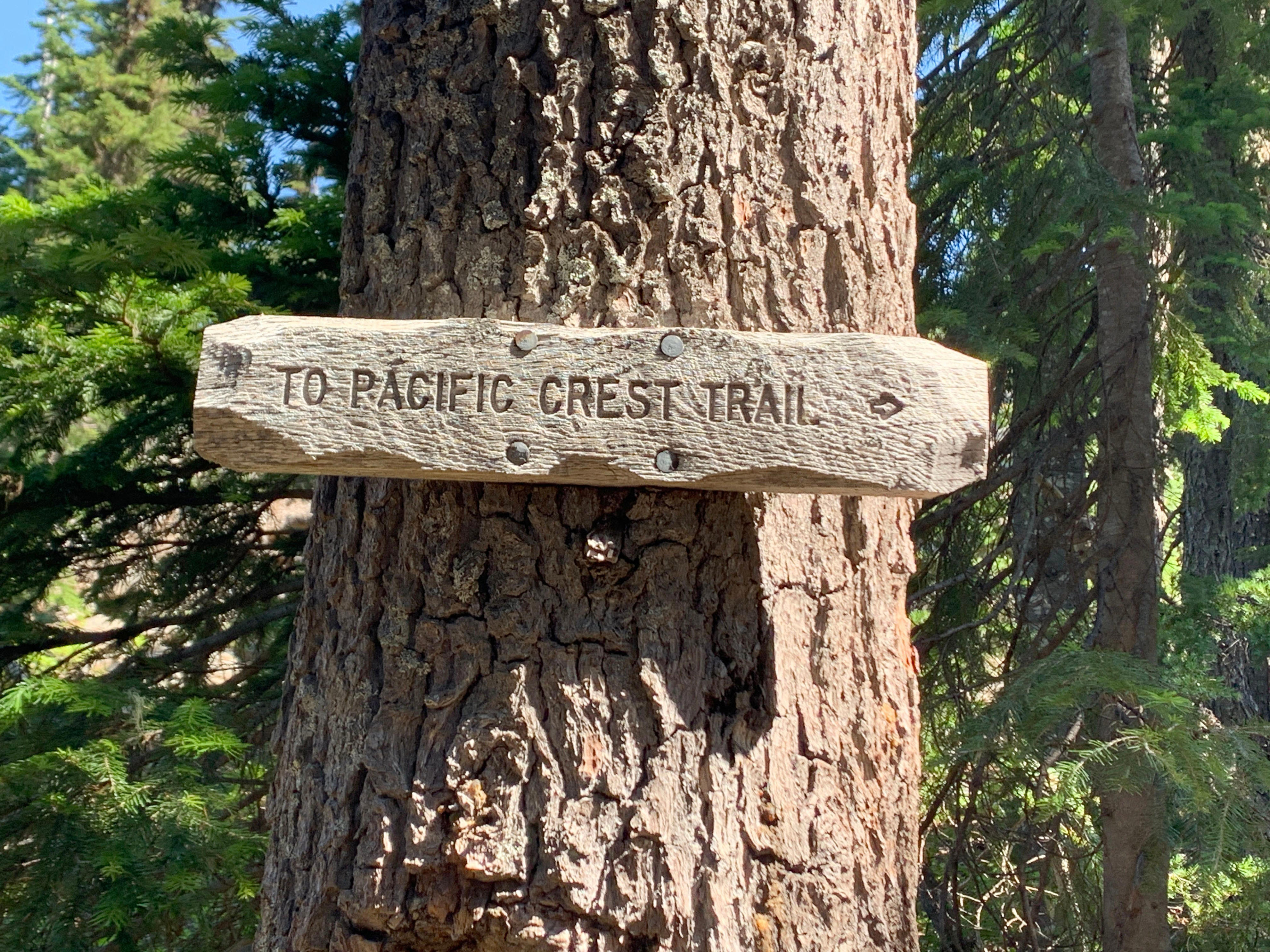 Norovirus outbreak hits Pacific Crest Trail — what hikers need to know