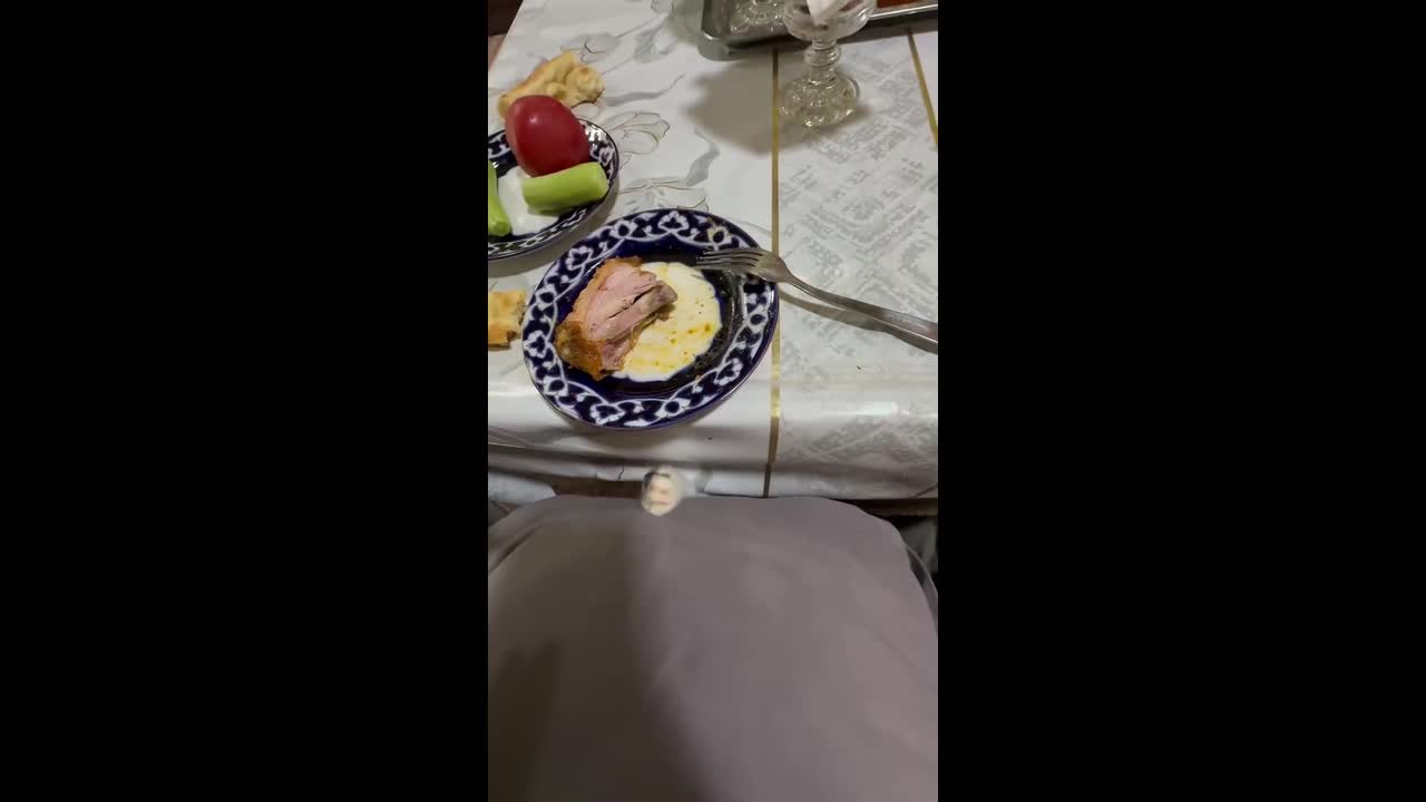 Cat repeatedly tries to steal food from under dining table in Uzbekistan