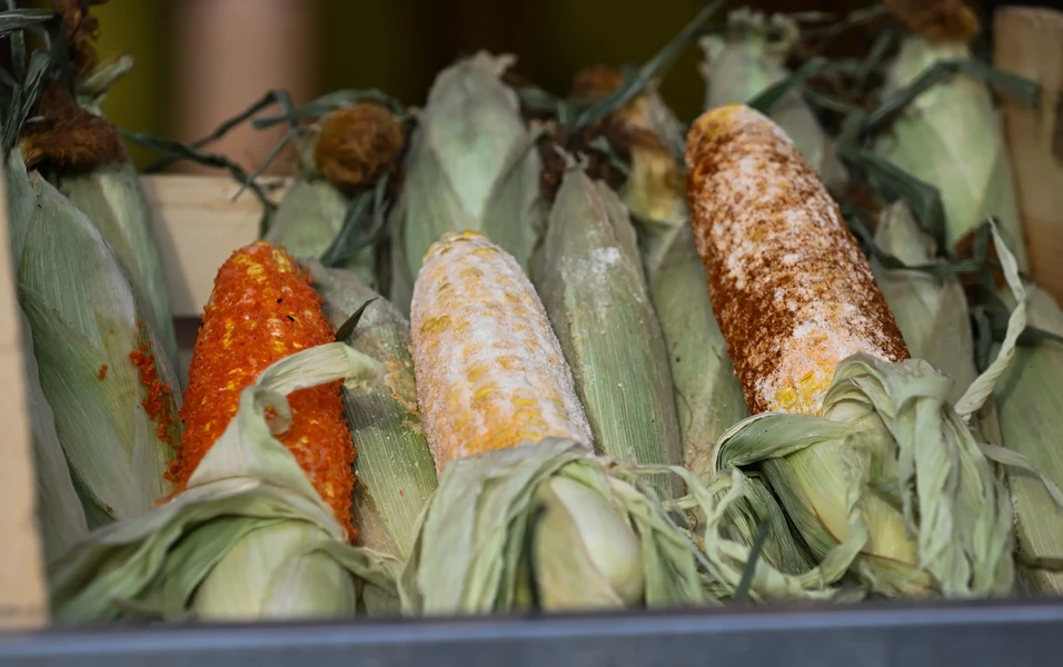 Corn salad ideas to brighten any table