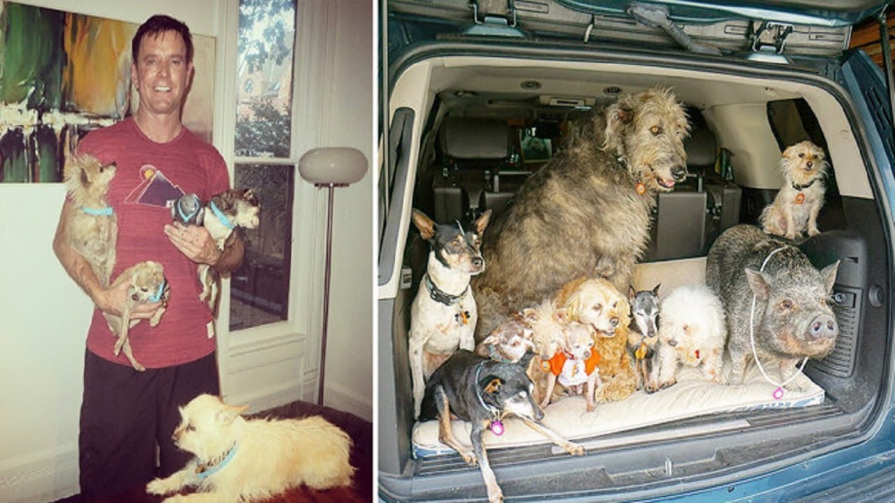 Man devotes his life to adopting old dogs who can’t find forever homes